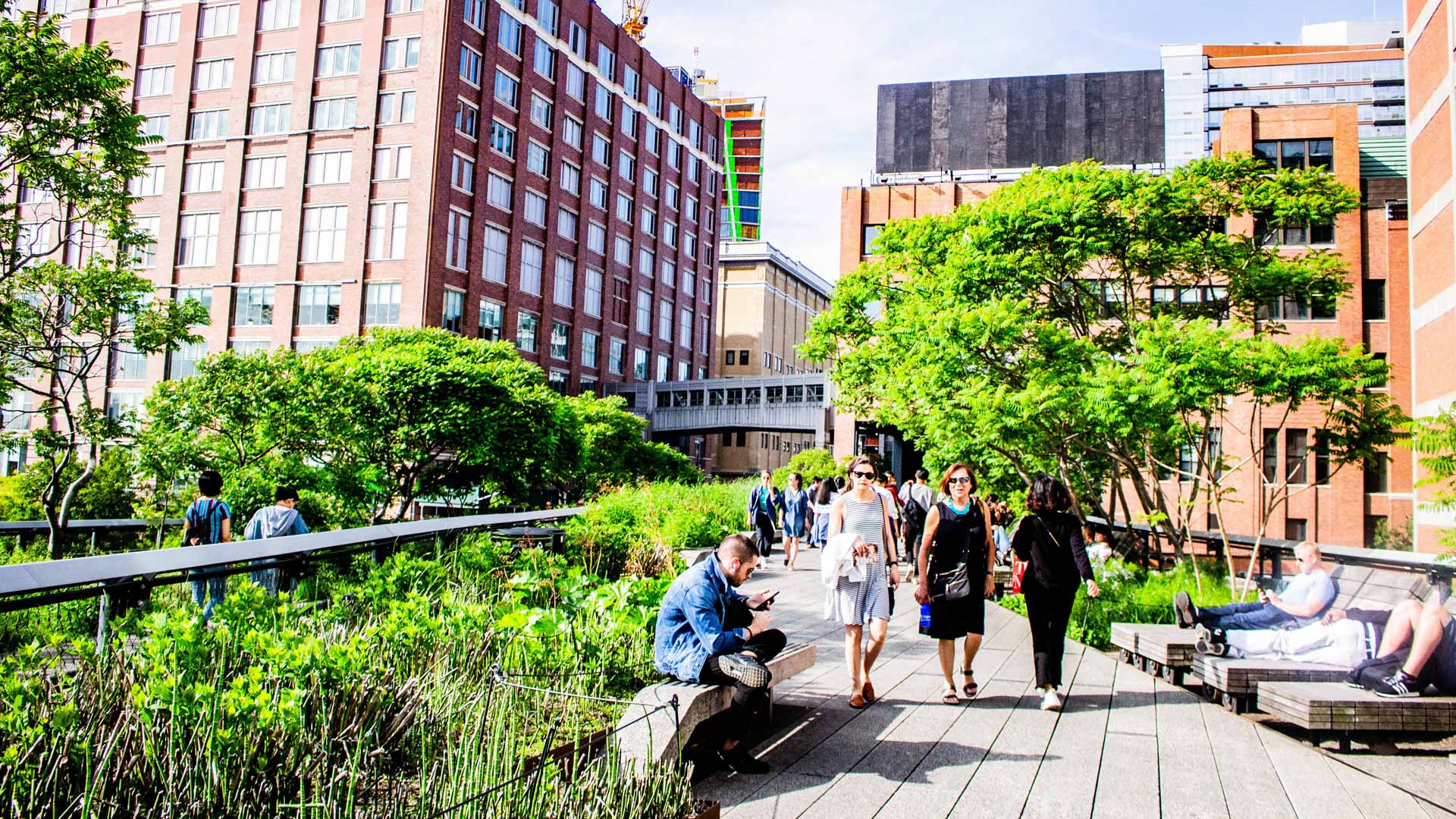 6 Reasons to Check Out NYC’s High Line - Hibernia Bar